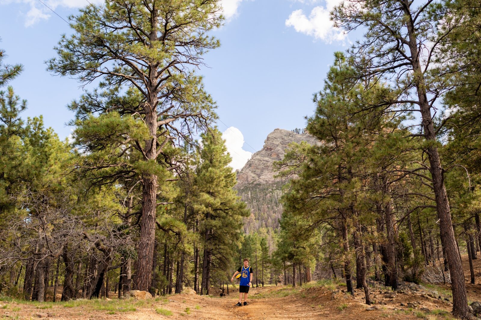 Lake Havasu Senior Session at Hualapai Mountain Park